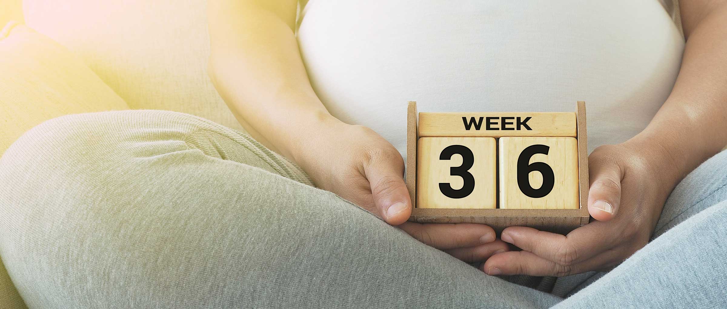 Embarazo de 15 semanas de gestacion - Imagui