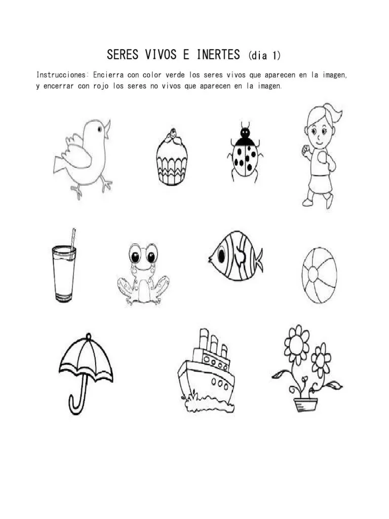 Dibujos de seres inertes - Imagui