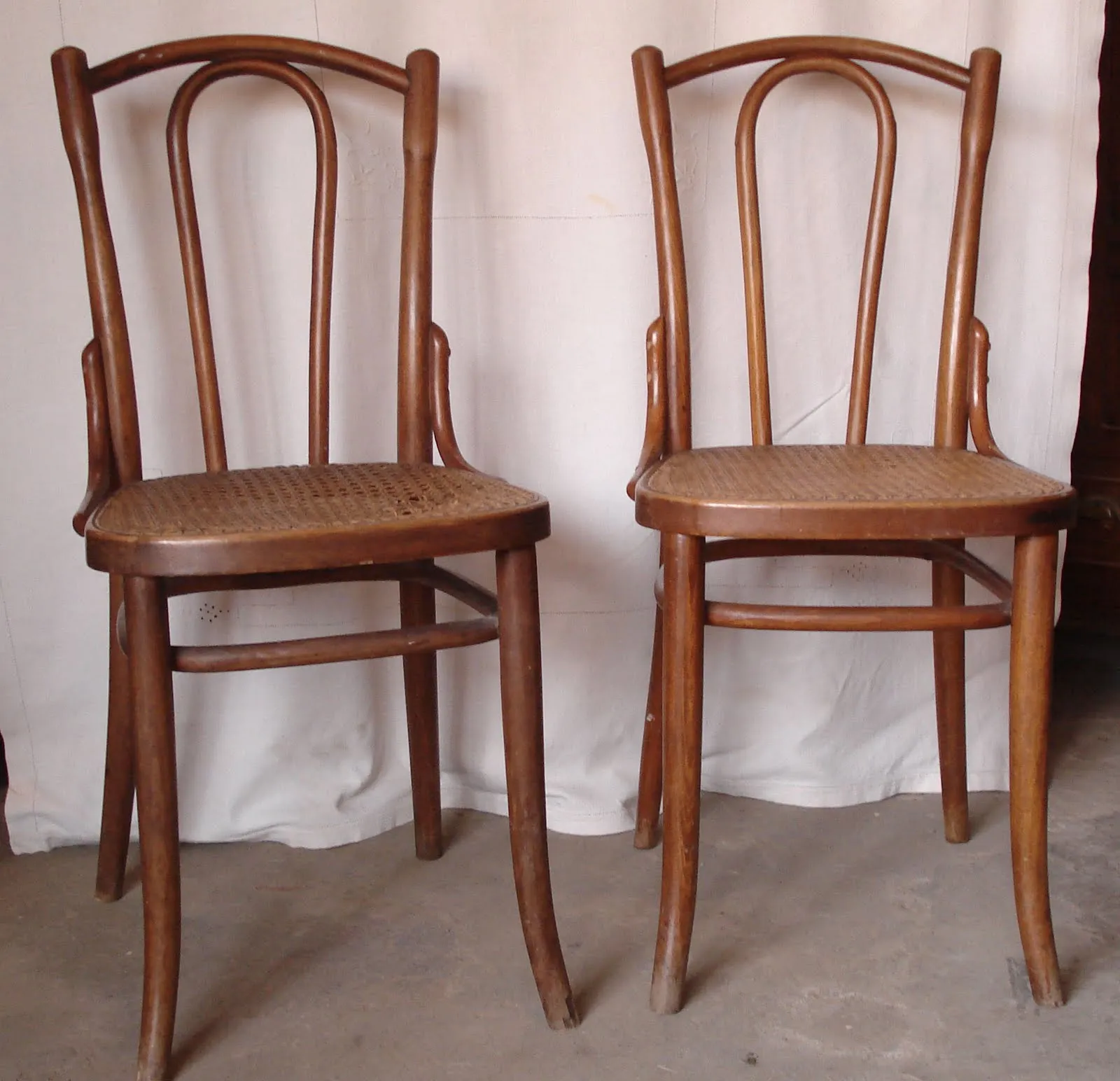 Sillas thonet precios - Imagui