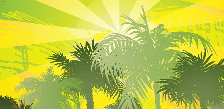 Palmeras vectorizadas gratis - 2 fotos e imágenes gratis - Imagui