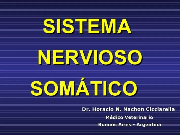 Sistema nervioso somatico - Imagui