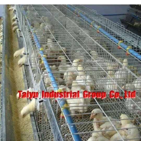 Jaula para pollo - Imagui