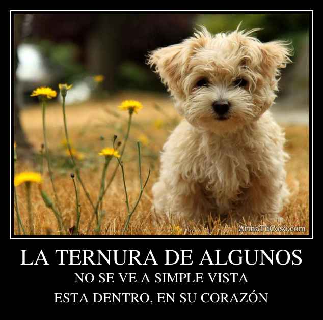 Imagenesde ternura - Imagui