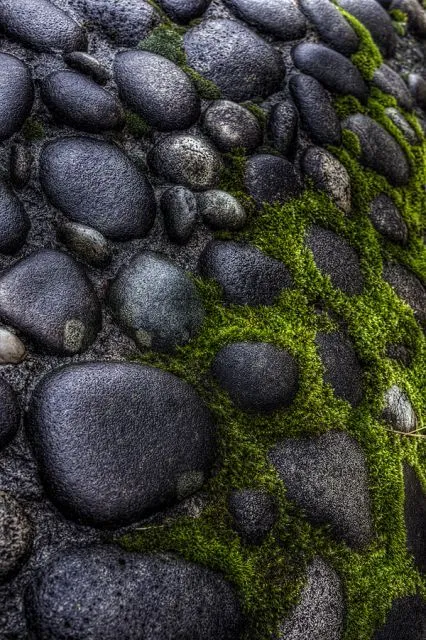 Texturas naturales - 15 fotos e imágenes gratis - Imagui