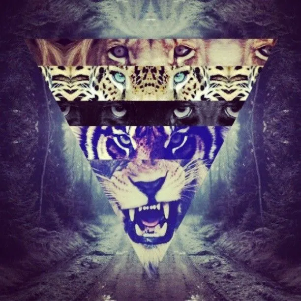 Imagenes hipster tumblr tigres - Imagui