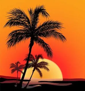 Palmeras vectorizadas - 8 fotos e imágenes gratis - Imagui