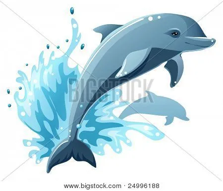 Vectores delfines - Imagui