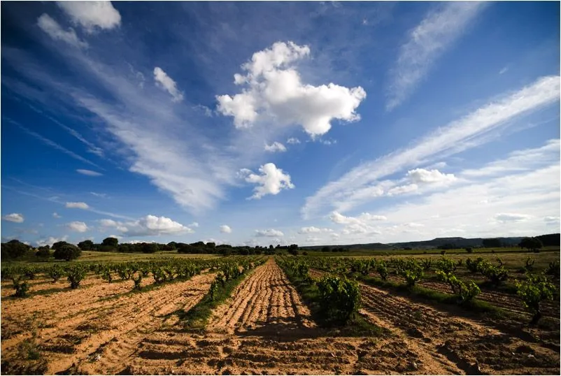 Wallpaper cielo - Imagui