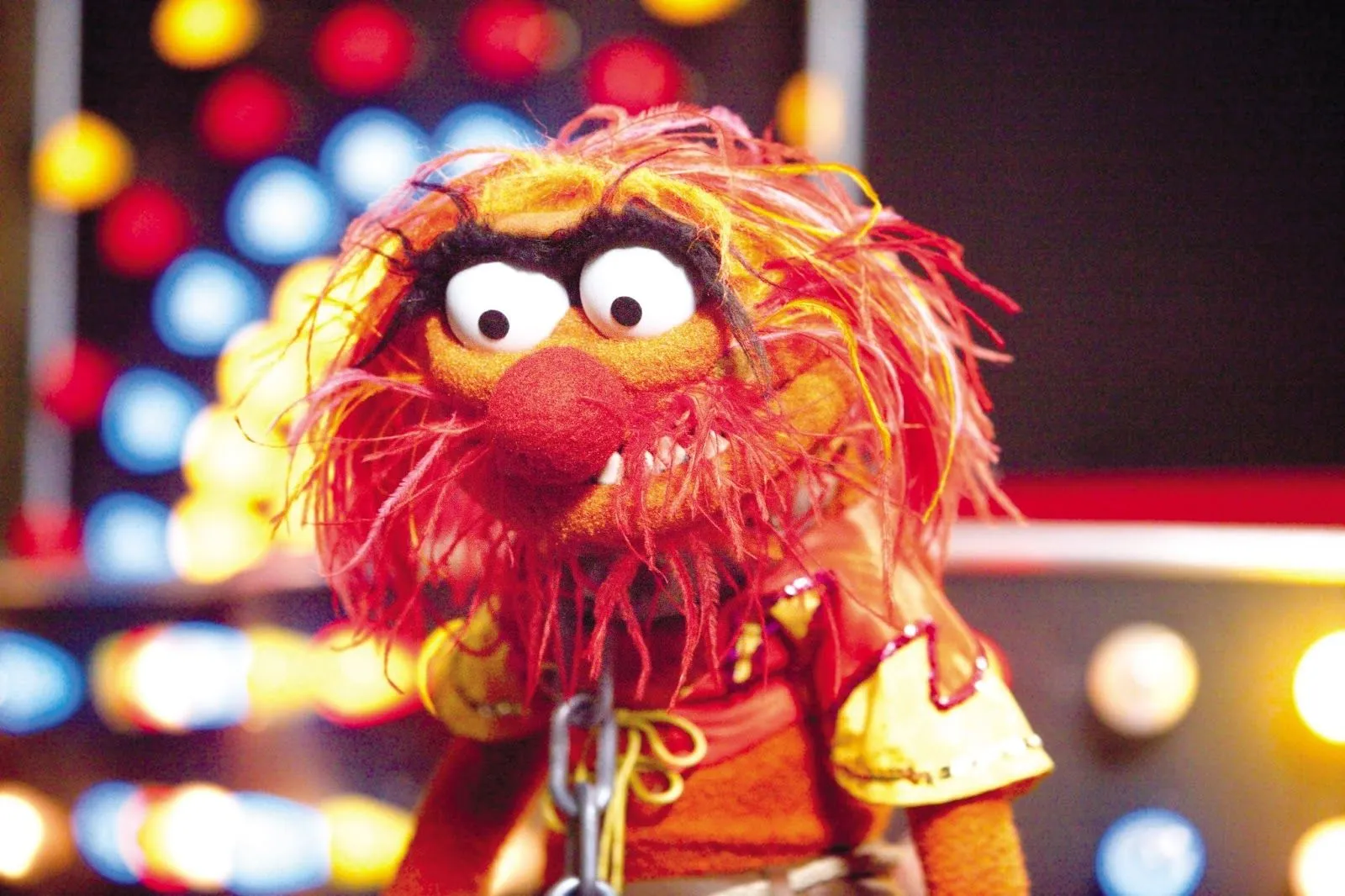 Animal muppet - Imagui